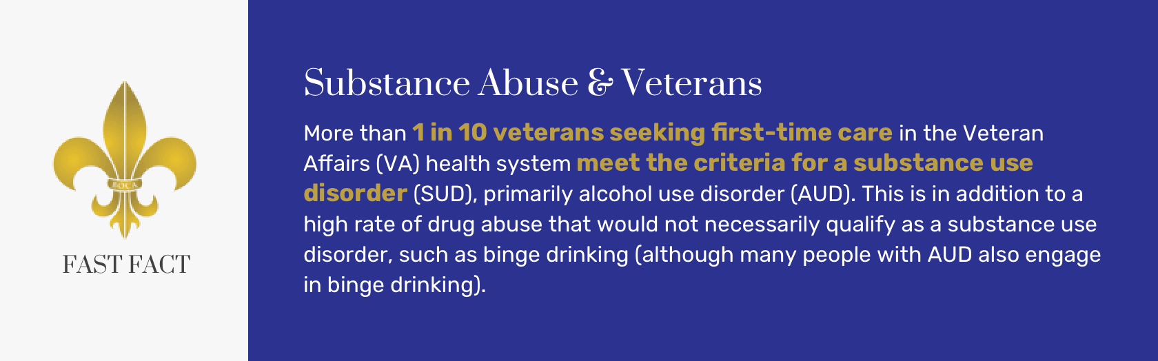 Veterans & Addiction