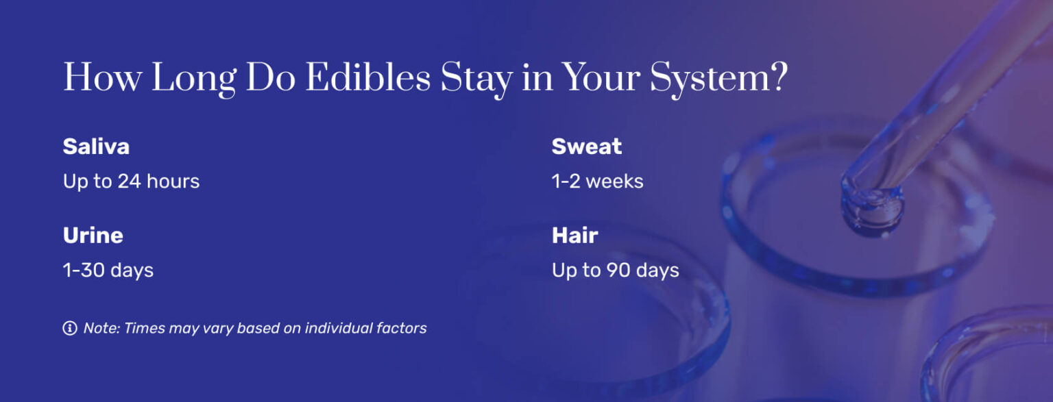 How Long Do Edibles Stay in Your System? + Understanding the Effects ...