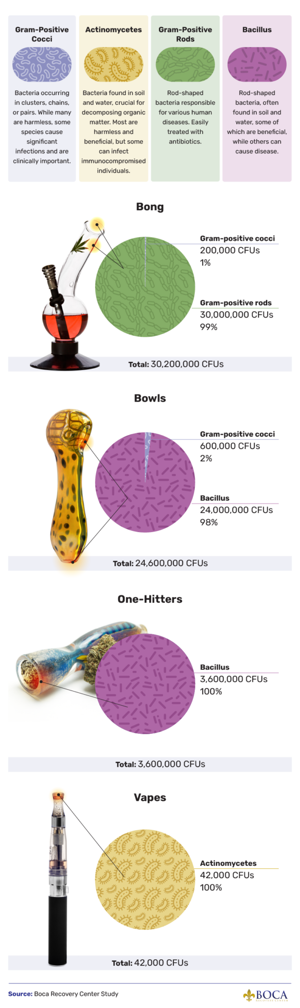 Bong Bacteria: A Cannabis User's Health Hazard - Boca Recovery Center ...