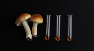 Side Effects of Shrooms (Psilocybin) or Magic Mushrooms